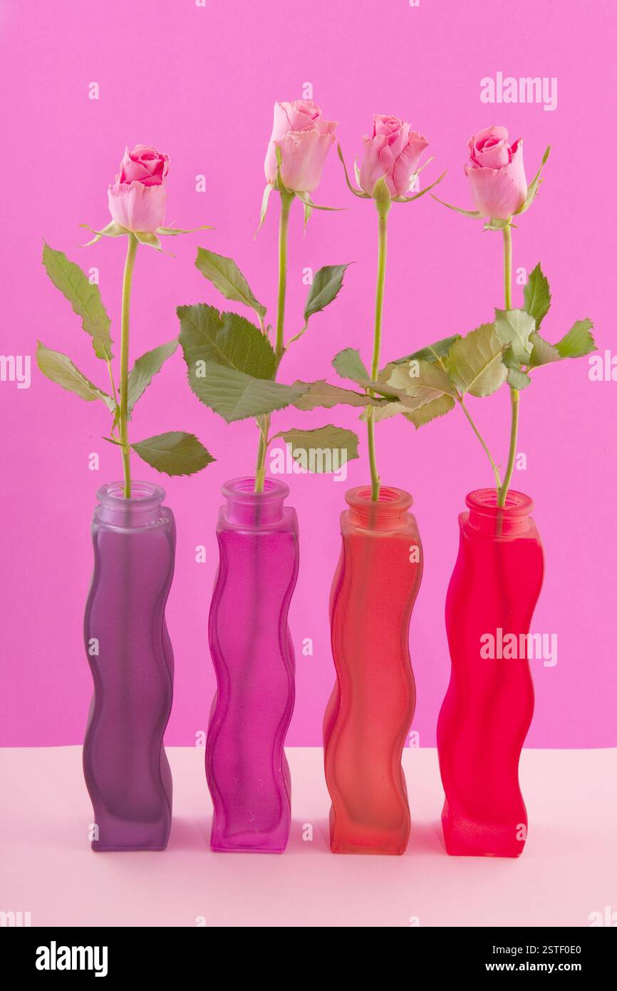 Pink row hi-res stock photography and images - Alamy