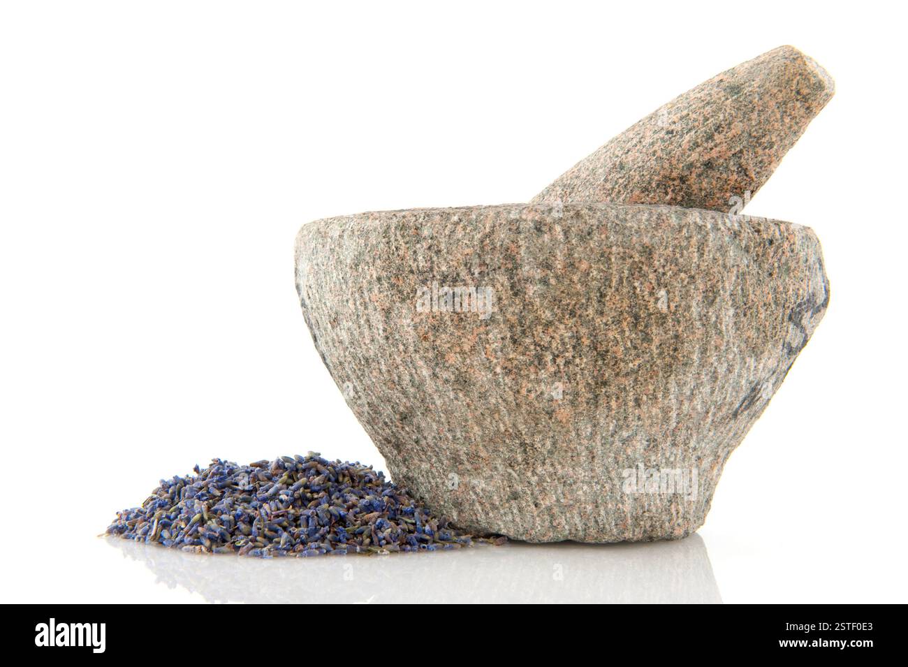 Stone mortar for preparing lavender herbs isolated over white Stock Photo - Alamy