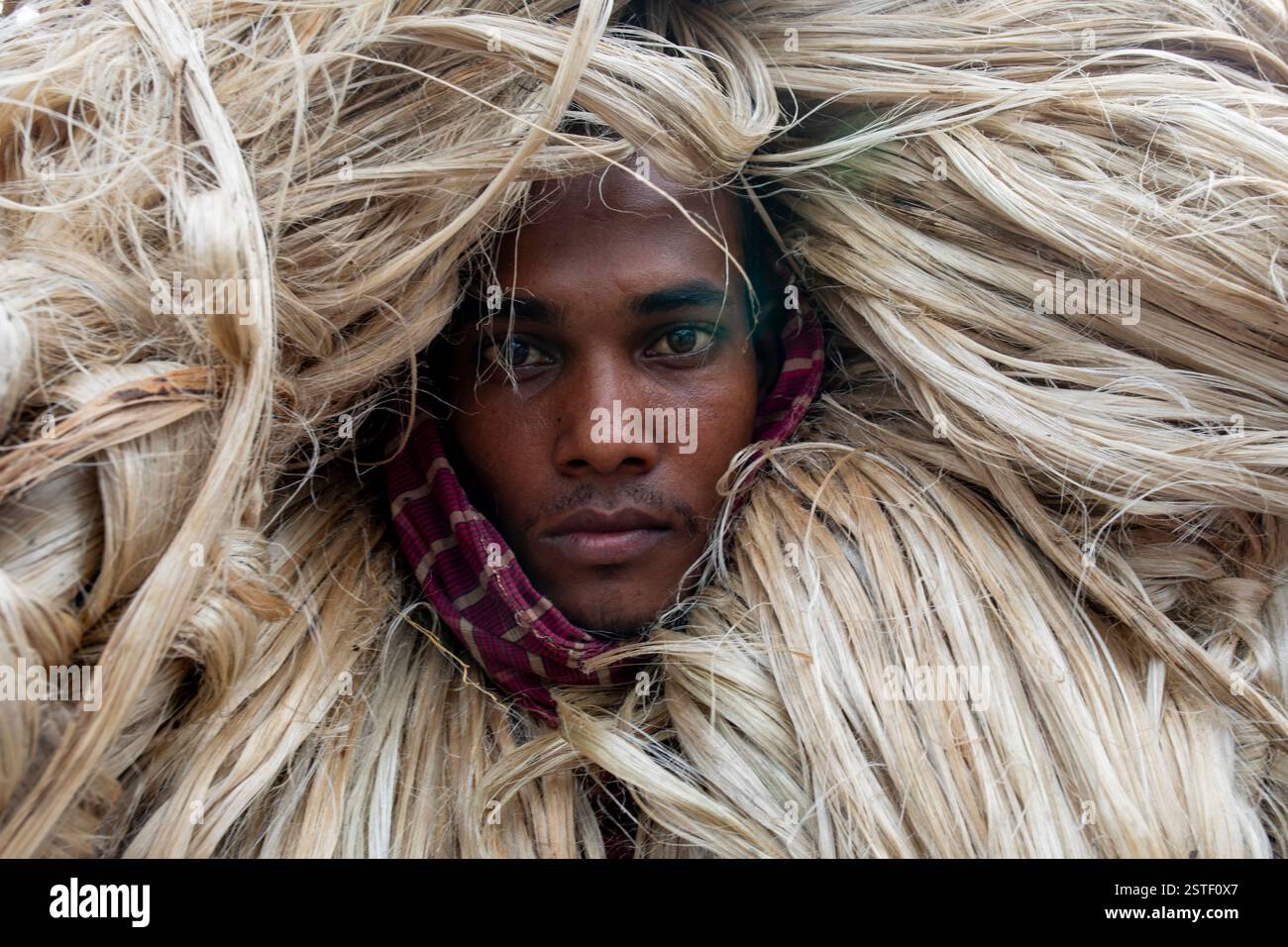 A man carries a bundle of raw jute on his shoulder at the bustling ...