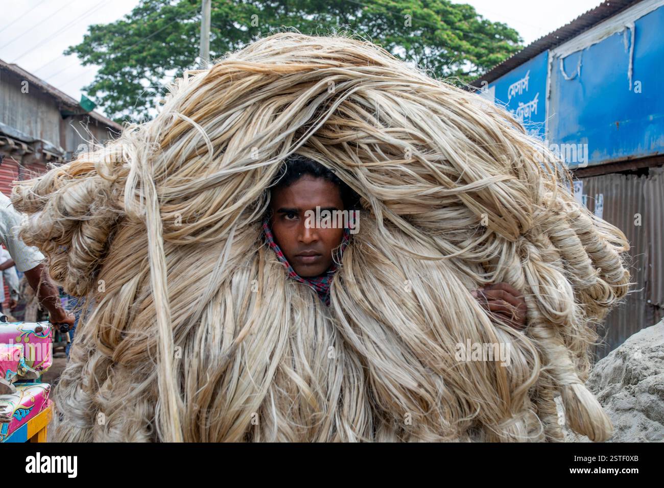 A man carries a bundle of raw jute on his shoulder at the bustling ...