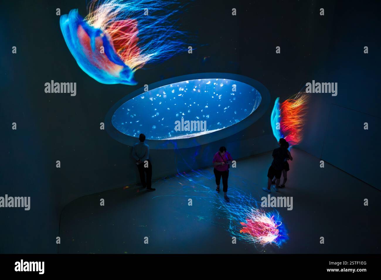 Prague, Czech republic - July 28, 2024: Jellyfish exhibition in Prague ...