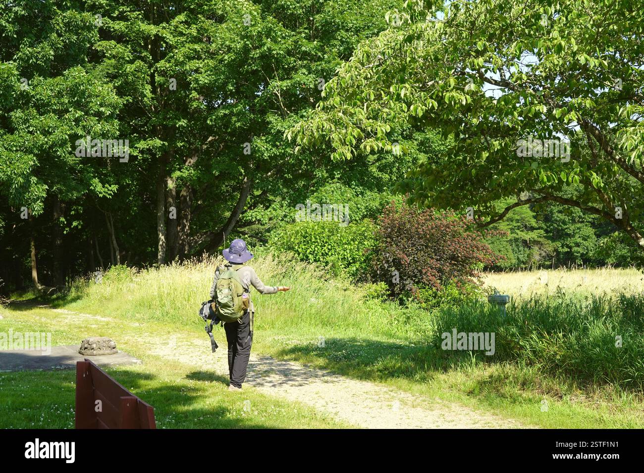 Ipswich River Wildlife Sanctuary of Mass Audubon Stock Photo - Alamy
