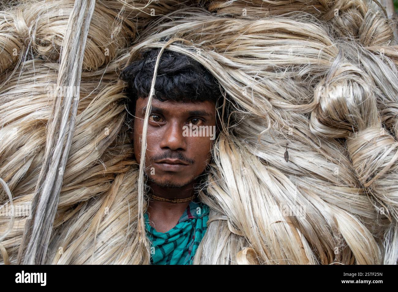 A man carries a bundle of raw jute on his shoulder at the bustling ...