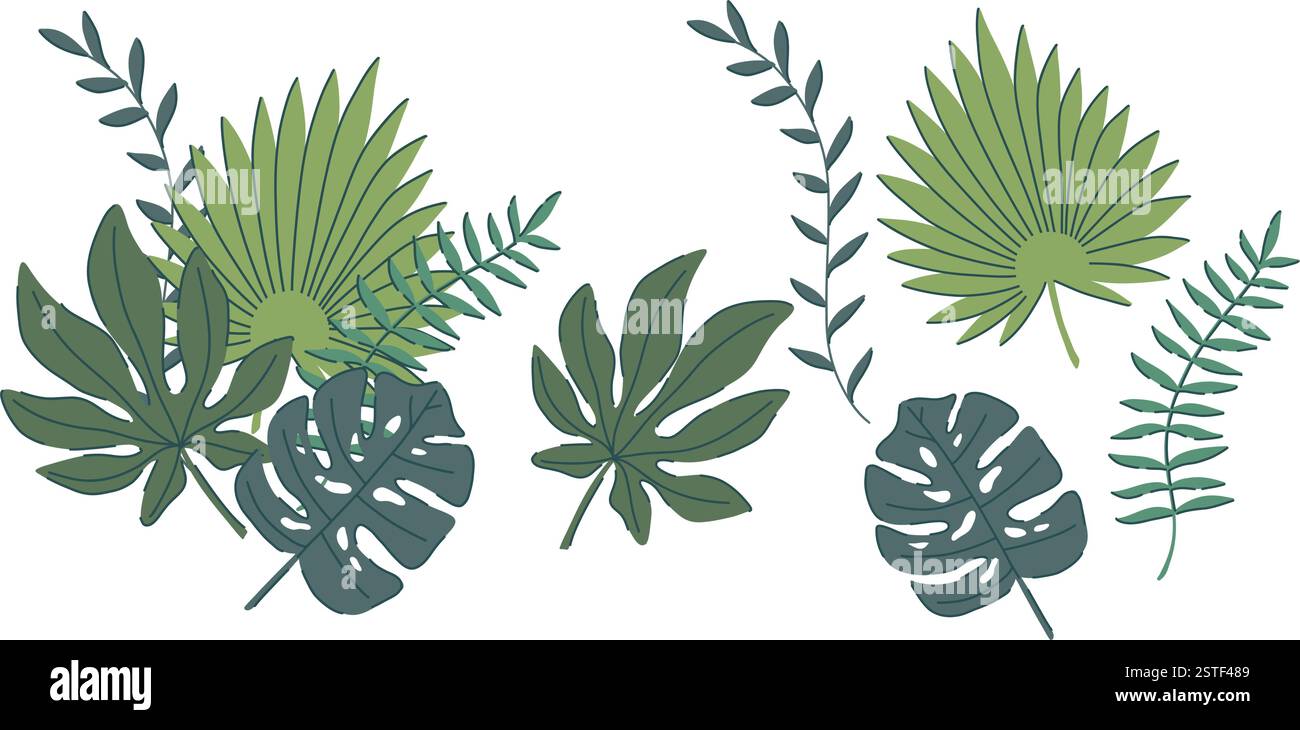 Vector illustration of tropical jungle leaves, featuring monstera, palm ...
