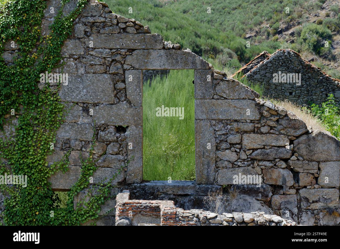 Crumbled stone wall with a doorway framing overgrown grass, part of ...