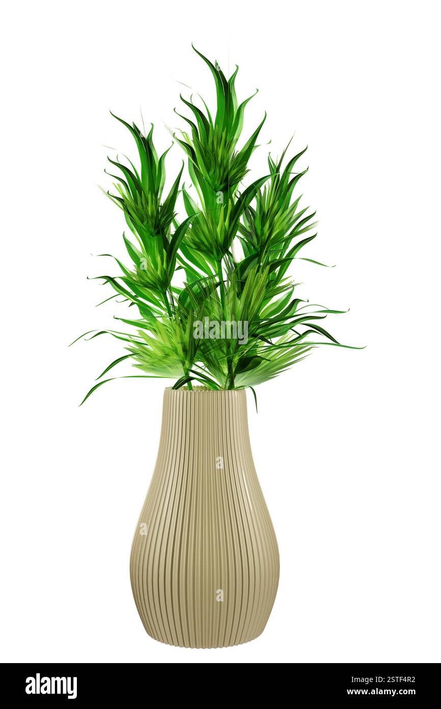 Elegant vase with green foliage plant on an isolated white background ...