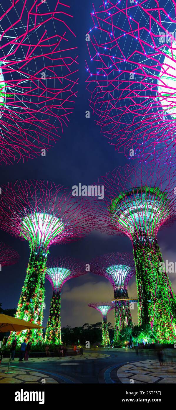 Lighted of gardens by the bay in singapore at night hi-res stock photography and images - Alamy