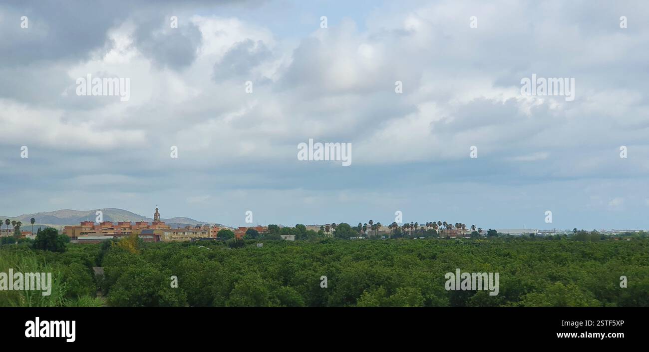 A panoramic view of a lush green landscape with trees, a distant town ...