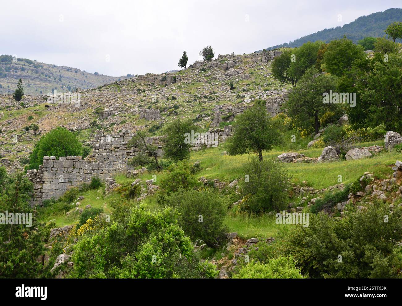 Selge Ancient City in Antalya, Turkey Stock Photo - Alamy