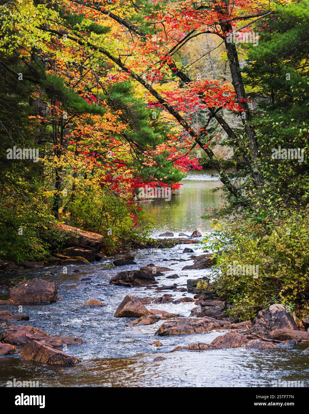 Water flow around stones hi-res stock photography and images - Alamy