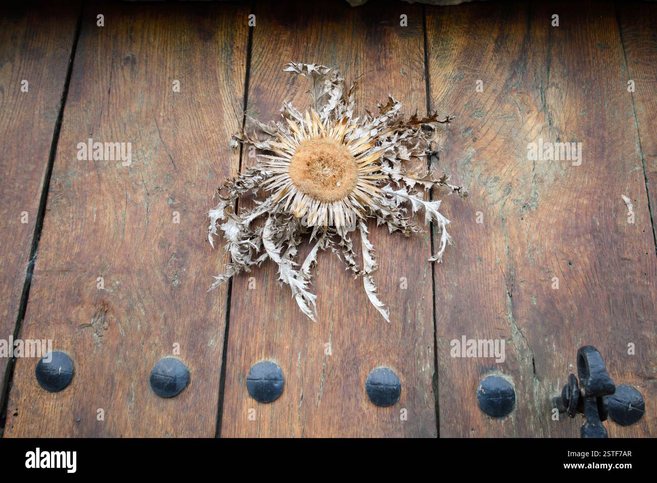 Wooden door with a eguzkilore Stock Photo - Alamy
