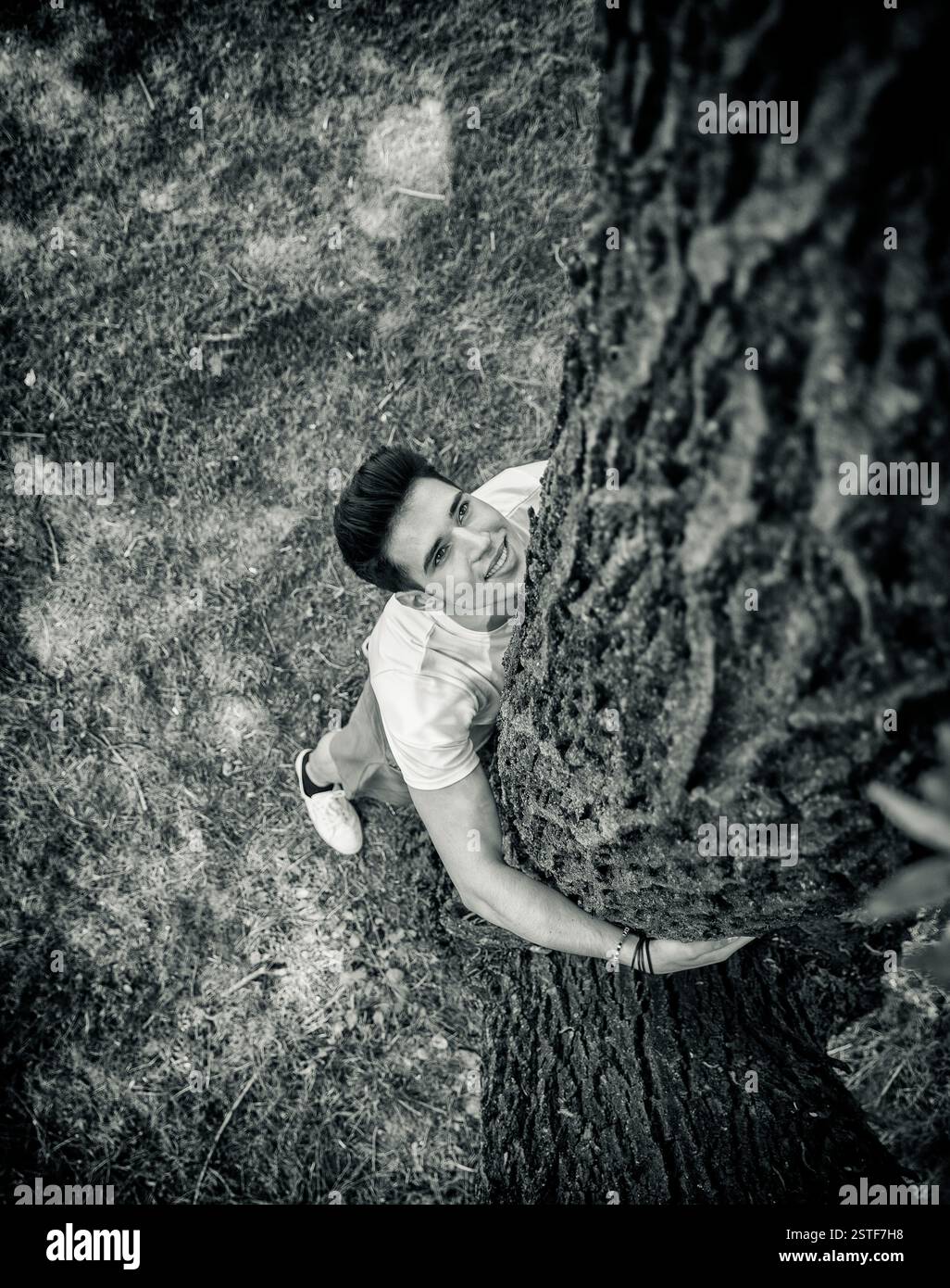 Smiling young man hugging a tree, looking up Stock Photo - Alamy