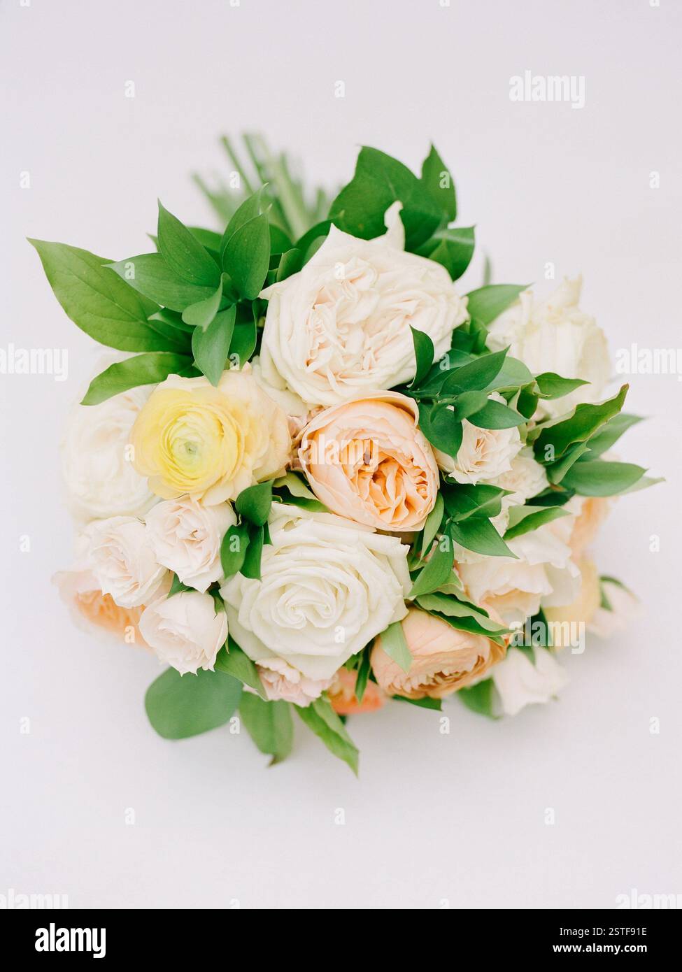 A stunning bouquet of white and peach roses surrounded by fresh green ...