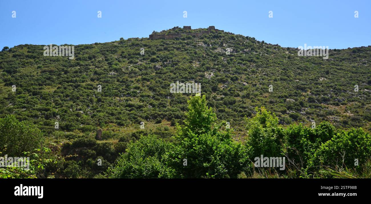 Selinus hi-res stock photography and images - Alamy