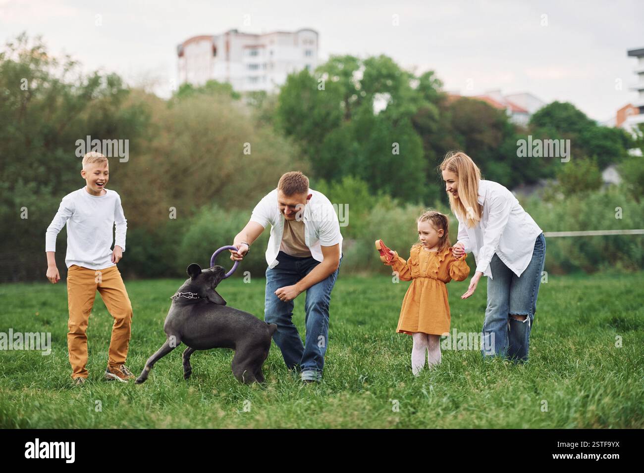 Having fun with dog. Family have weekend outdoors at summertime ...