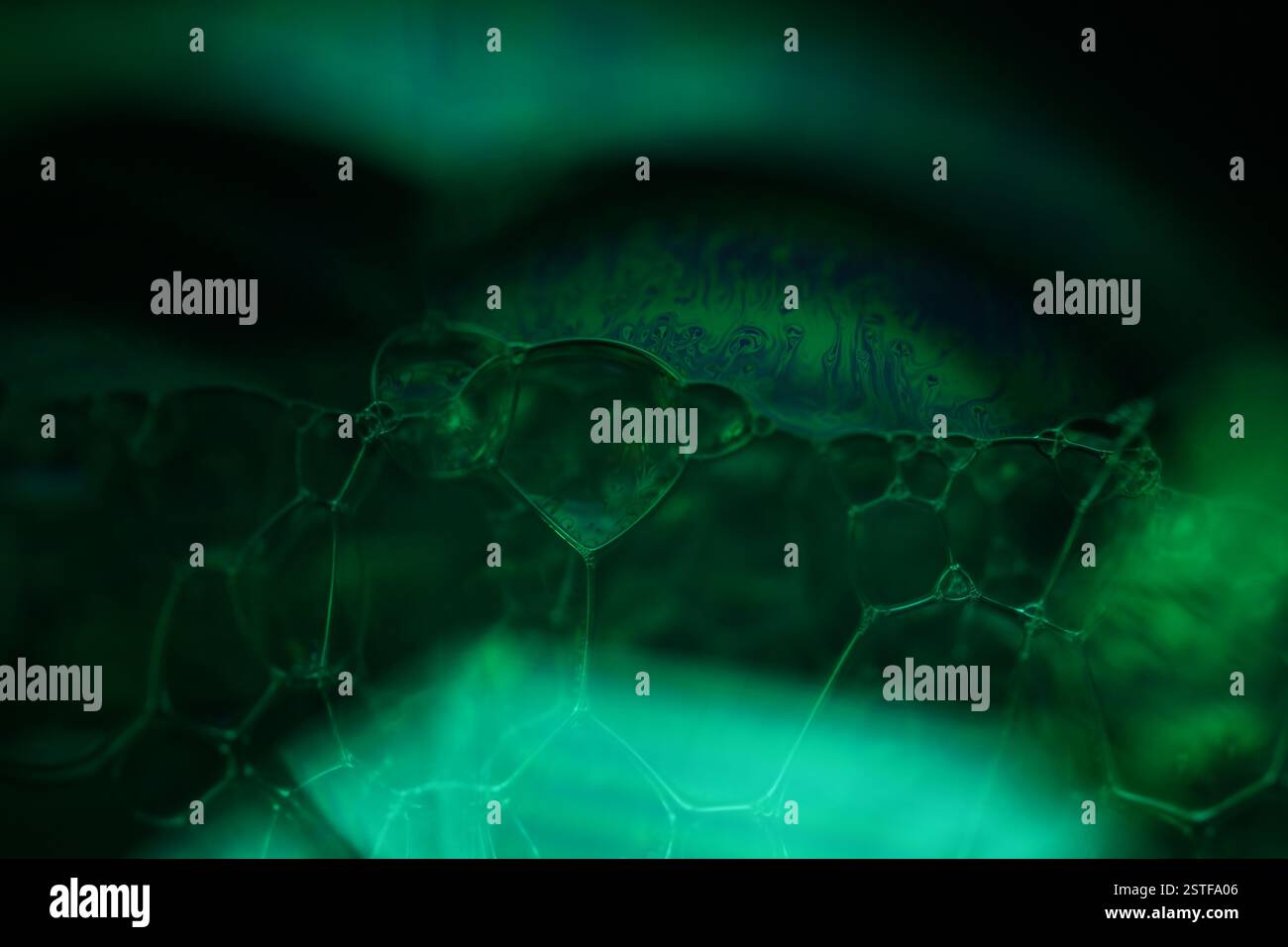 Green liquid edge on the dark background, colourful abstract, green ...