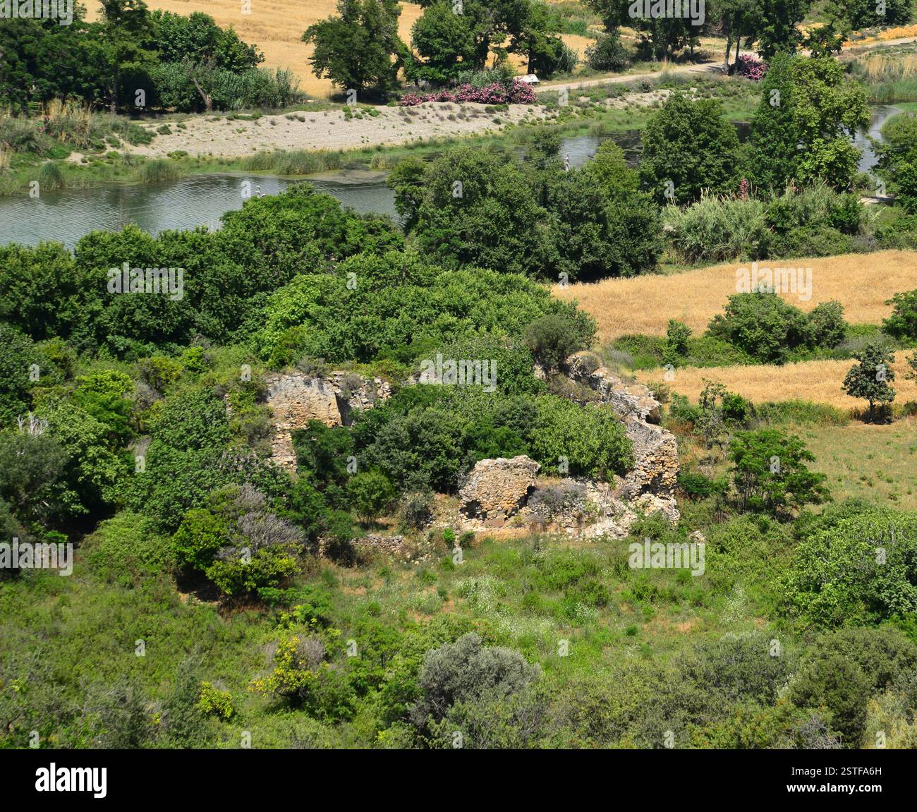 Selinus hi-res stock photography and images - Alamy