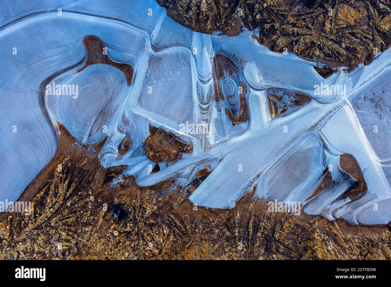 Frozen water on the ground, pattern of ice Stock Photo - Alamy
