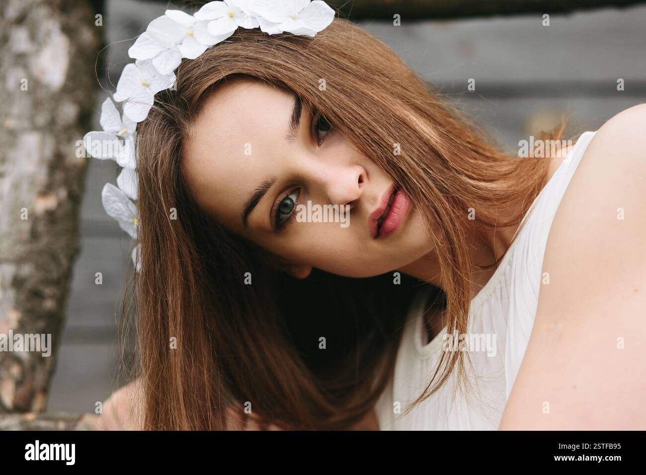 Climbing ladder house hi-res stock photography and images - Alamy