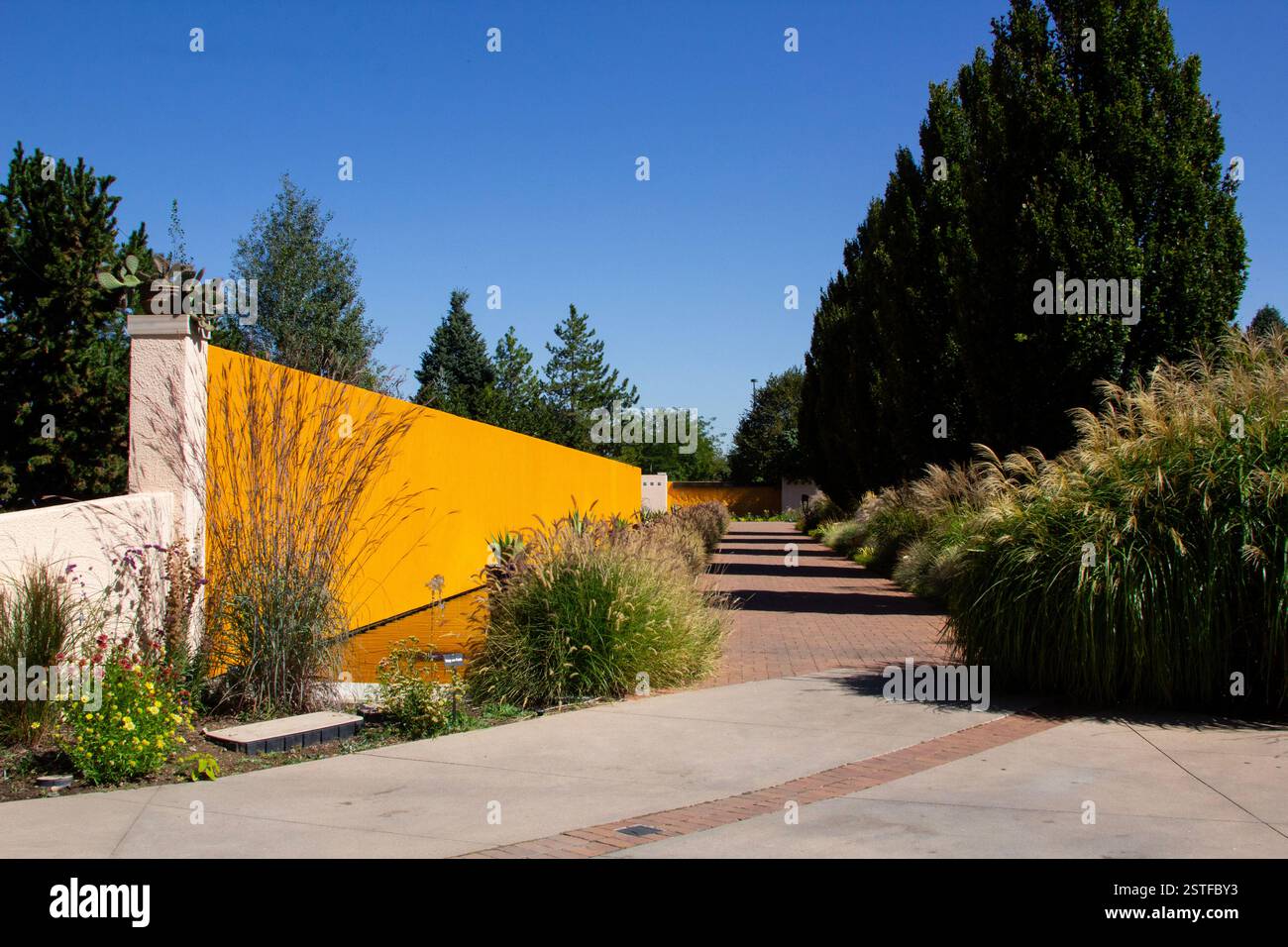 A peaceful yellow garden pathway surrounded by lush ornamental grasses ...