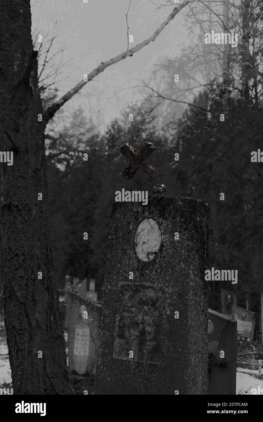 Dark creepy woodland, horror winter forest, fantastic nature, foggy ...