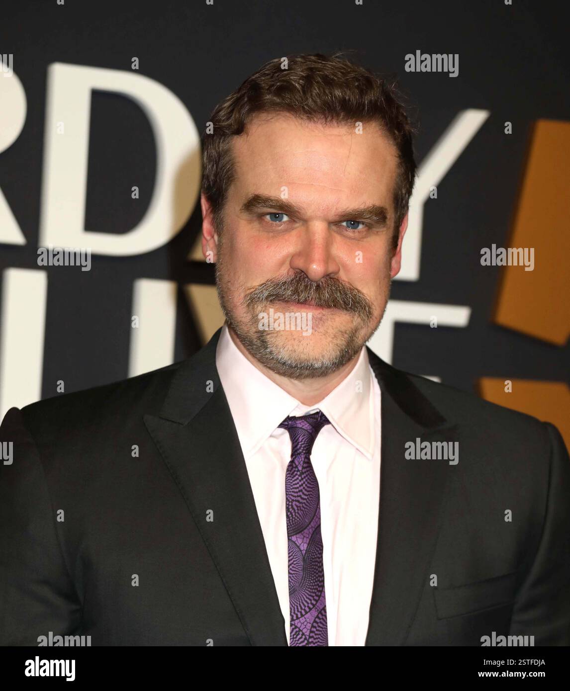 February 16, 2025, New York, New York, USA: Actor DAVID HARBOUR seen at the arrivals for SNL 50 ...