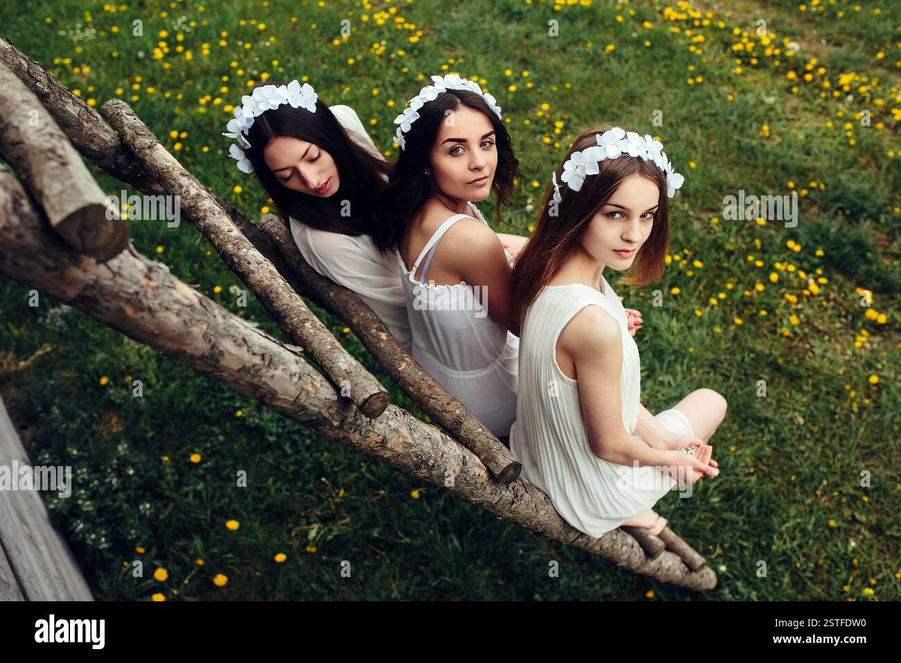 three beautiful girls on the background of a wooden house Stock Photo ...