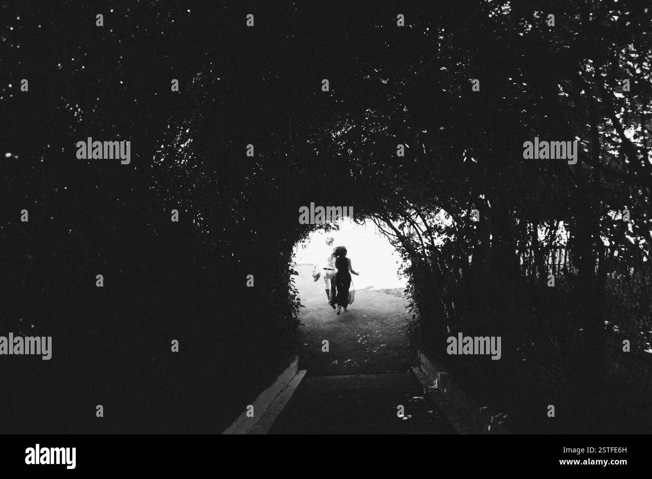 Couple walking through the tunnel of trees Stock Photo - Alamy