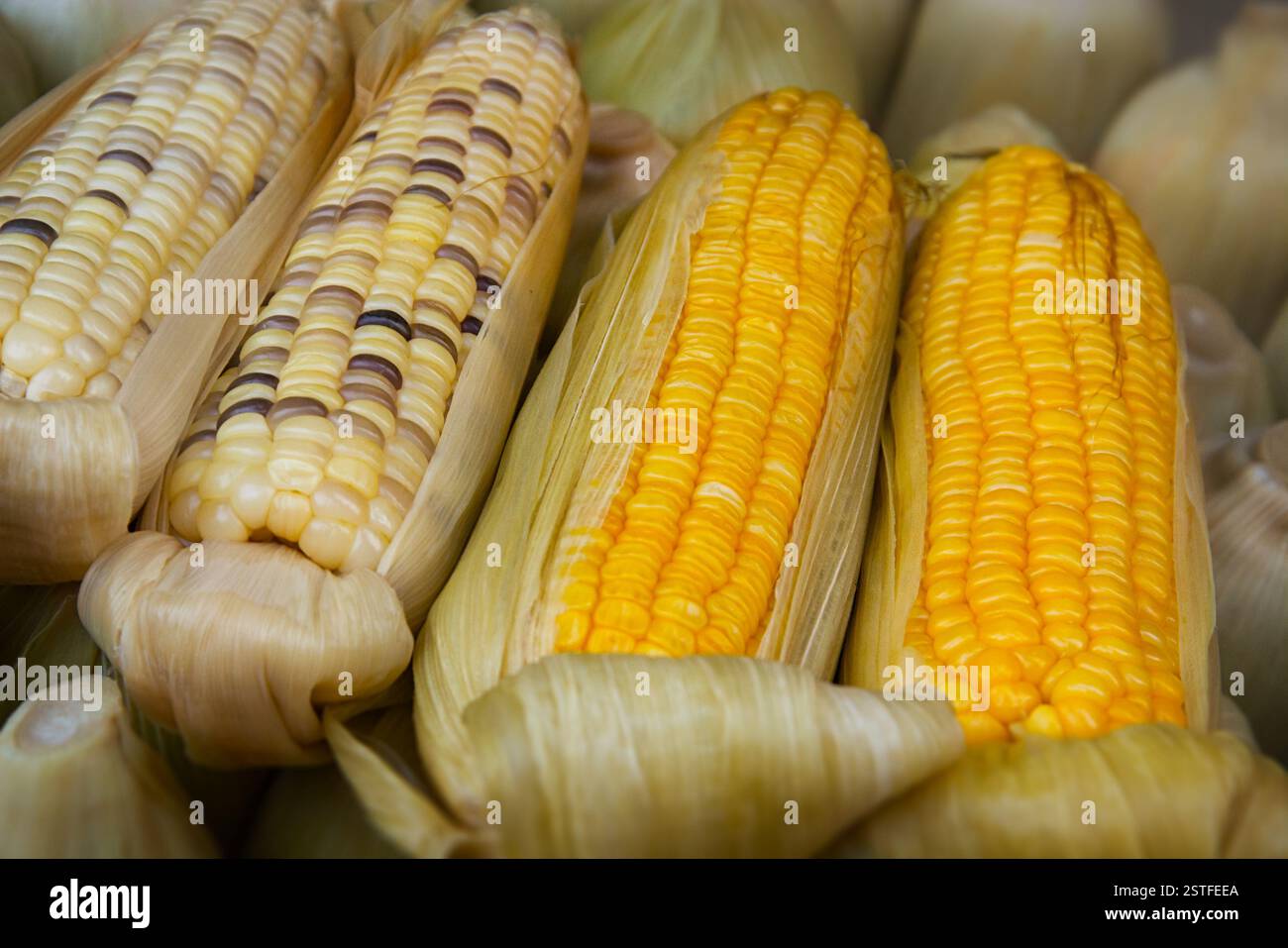 Boiled corn at a street vendor's stand Stock Photo - Alamy