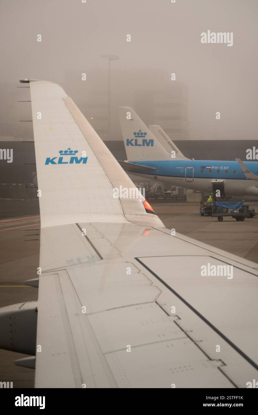 KLM aircraft lined up on a misty morning, ready for their next journey ...