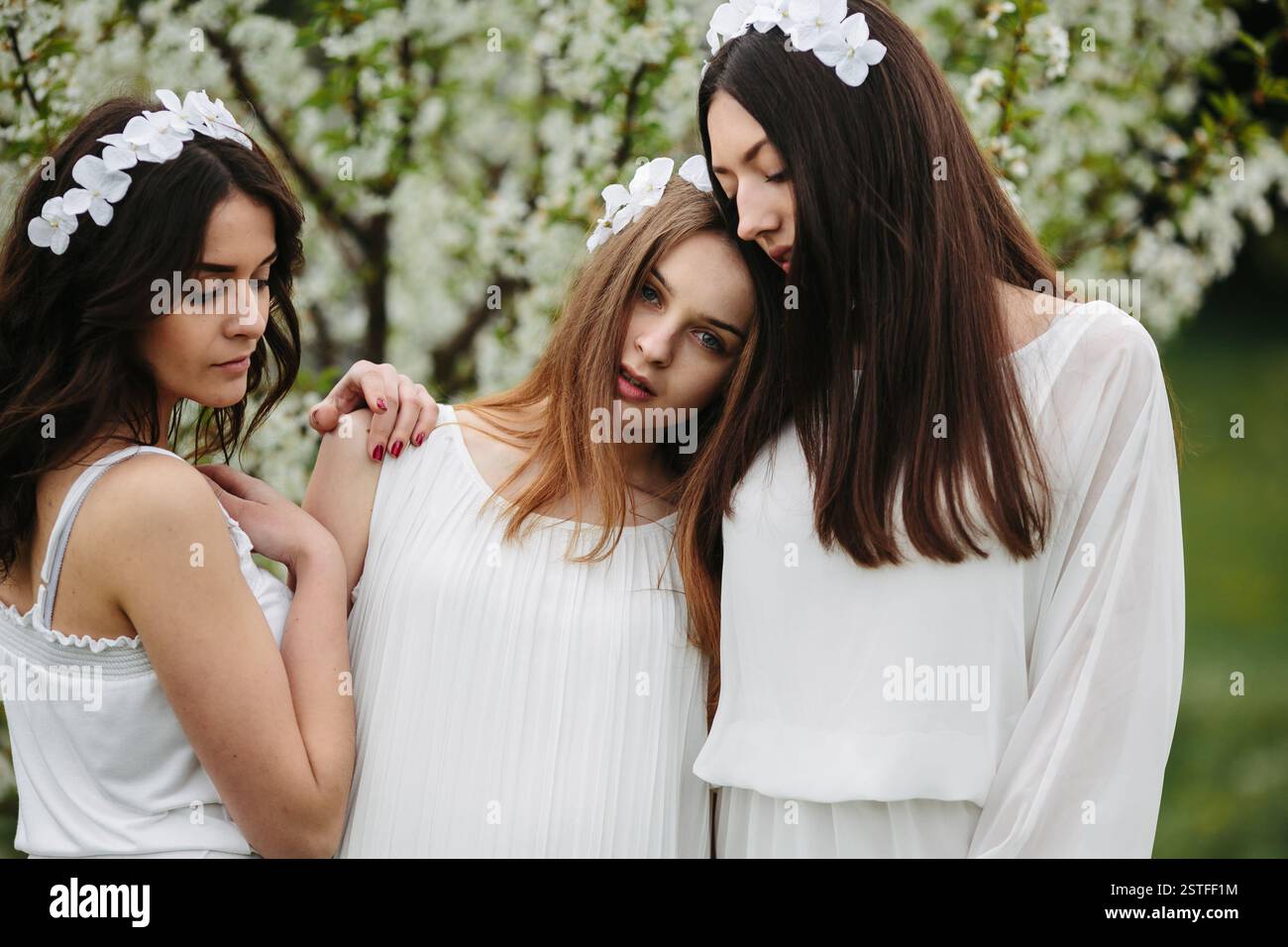 Three beautiful girls Stock Photo - Alamy