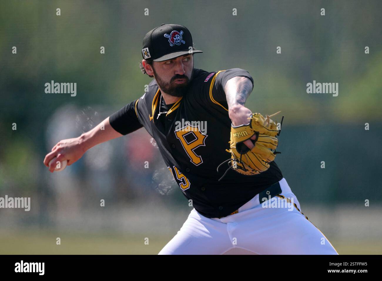 Pittsburgh Pirates pitcher Colin Holderman (35) throws live batting ...