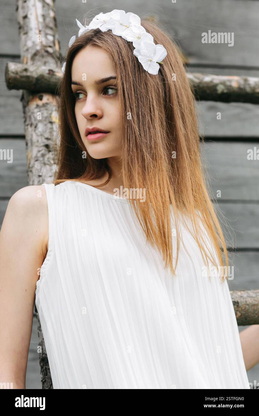 House ladder hi-res stock photography and images - Alamy