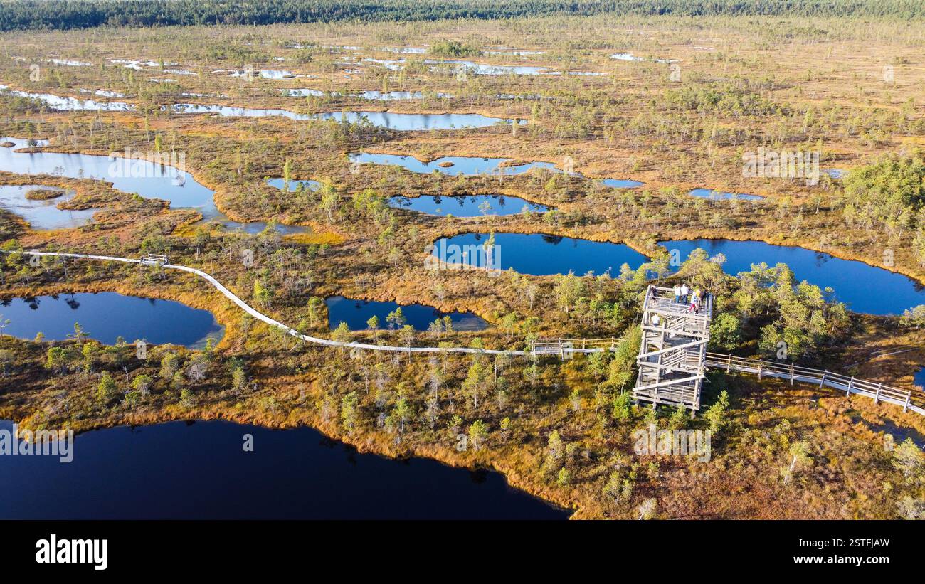 Aerial View of Wooden Observation Tower Overlooking a Scenic Wetland ...