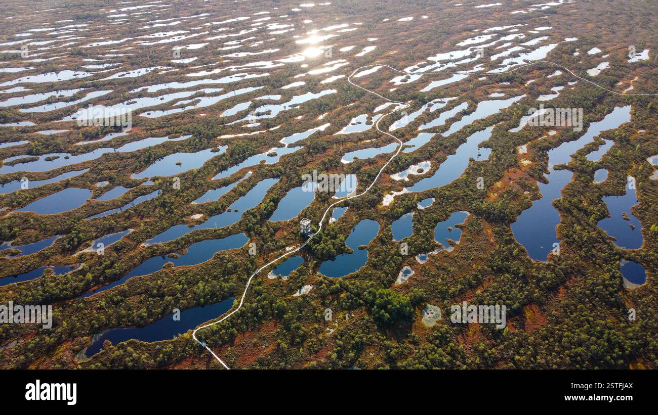 Aerial View of Wetlands with Winding Path and Reflective Water Bodies ...