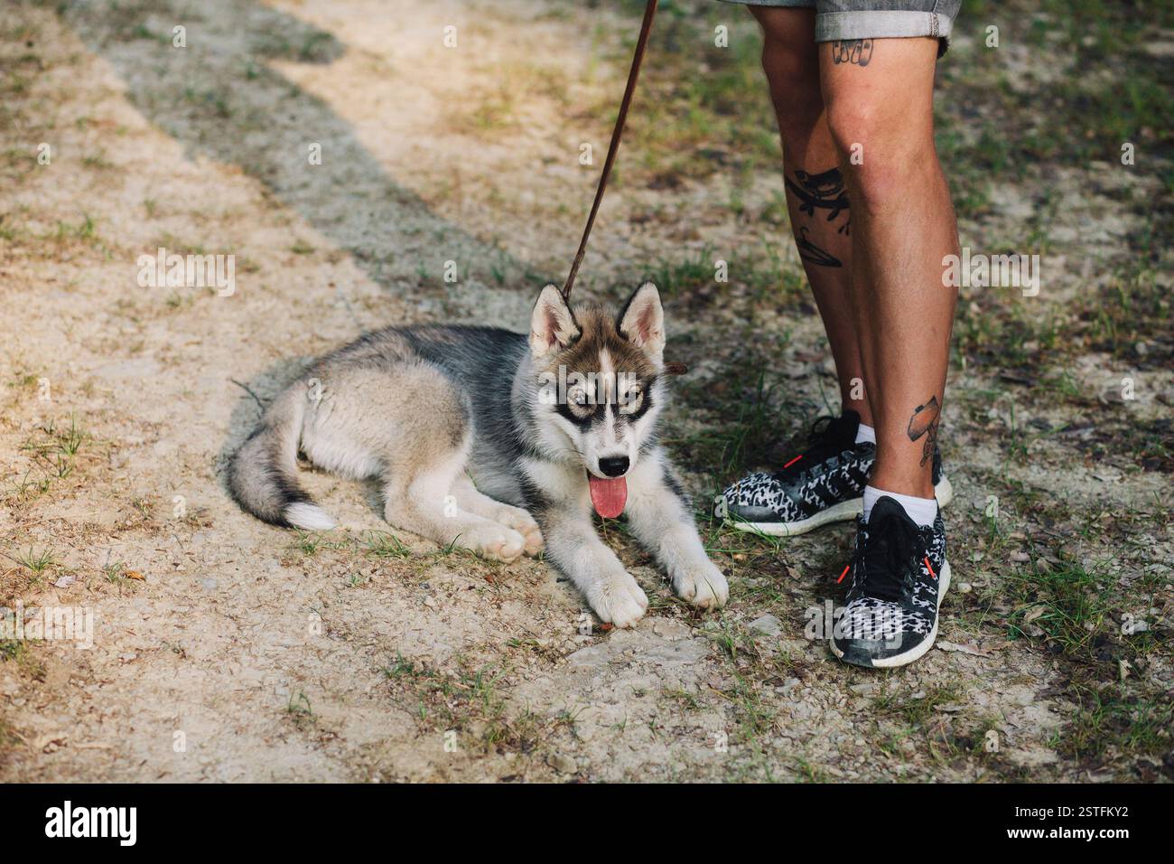 Dog sitting near the feet of the master hi-res stock photography and ...