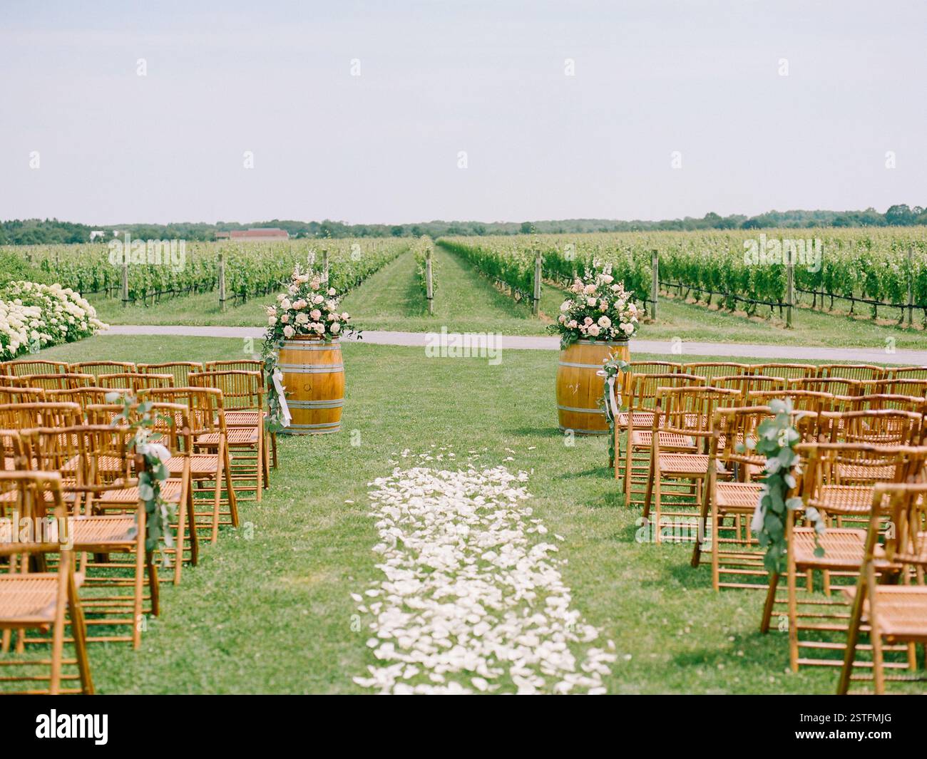 A charming outdoor wedding setup with rows of chairs, flower ...