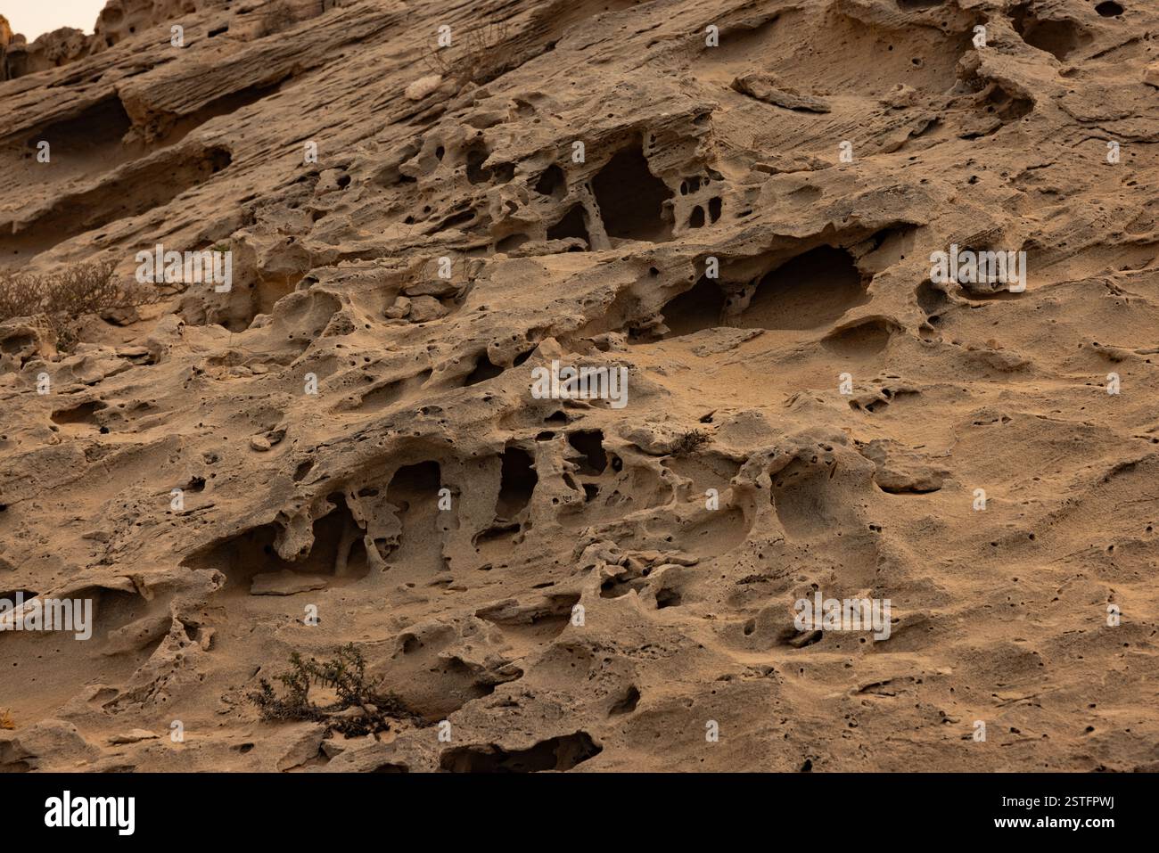 Fuwairit Beach, one of Qatar's best public beaches 16-02-2025 Doha ...