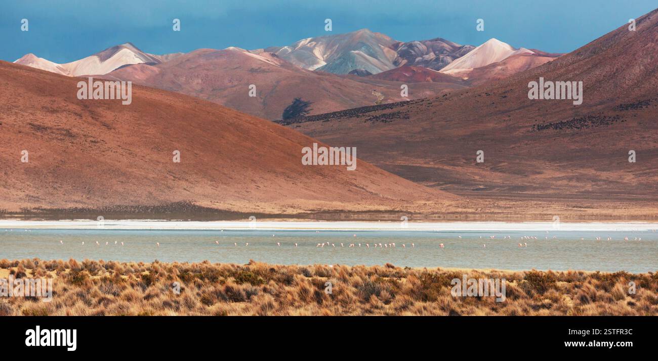 Fantastic Scenic landscapes of Northern Chile, Atacama desert ...