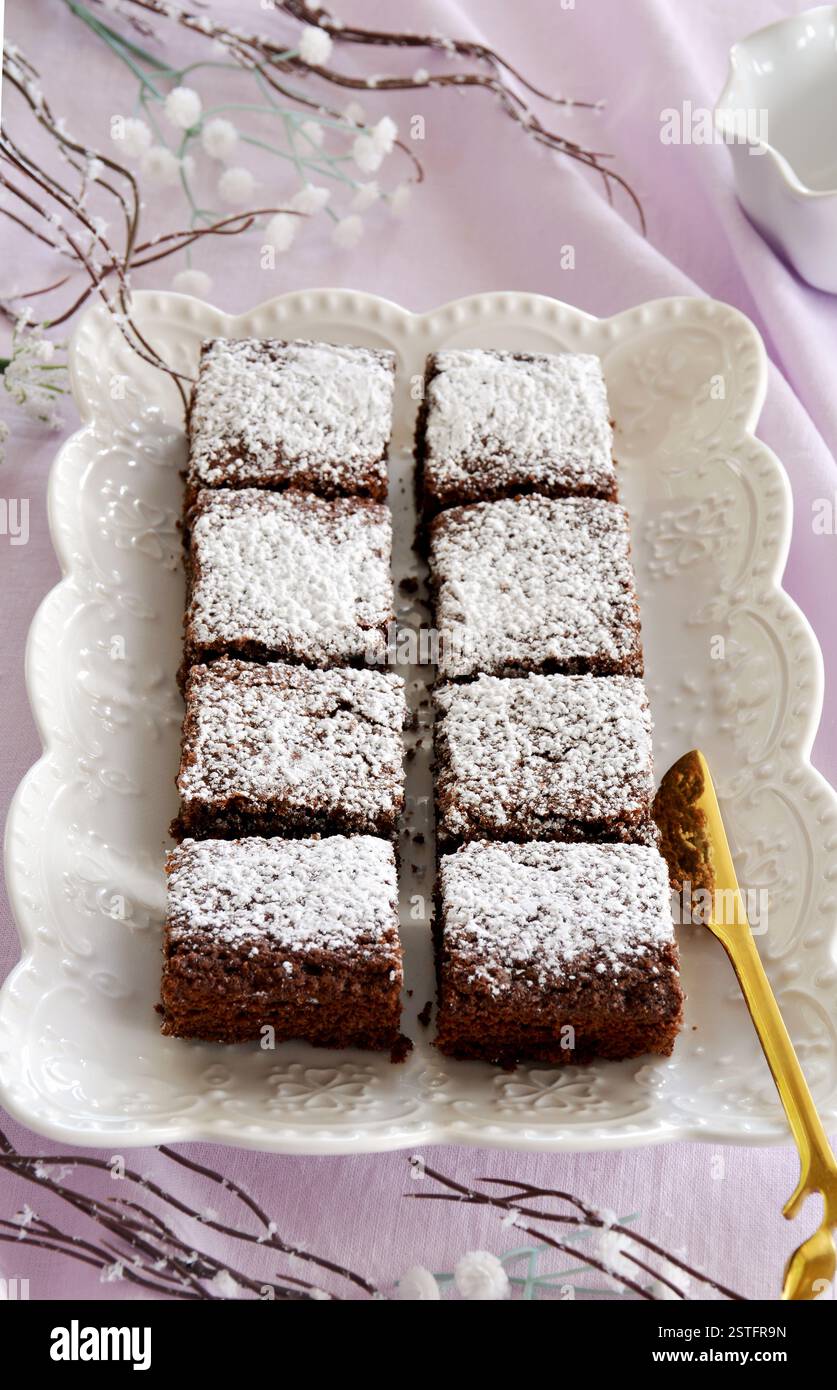 Fresh homemade brownie squares dusted with icing sugar on pretty white ...