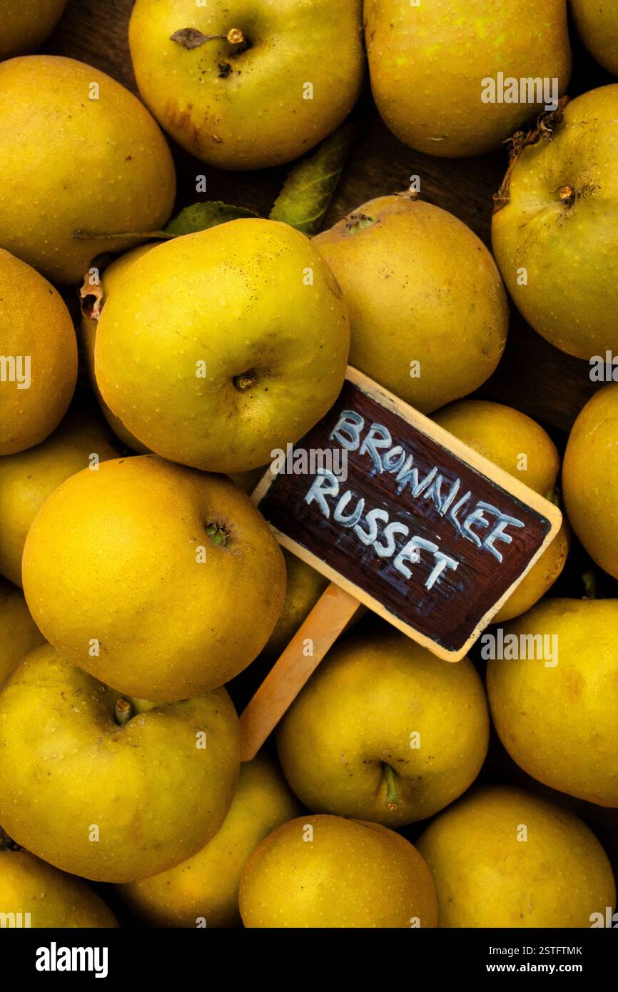 Best source of vitamin a hi-res stock photography and images - Alamy