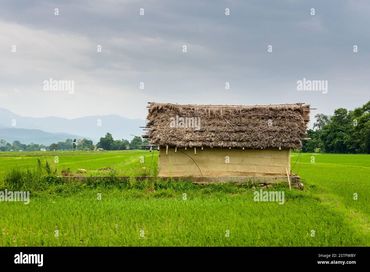 Nepal traditional house wall hi-res stock photography and images - Alamy