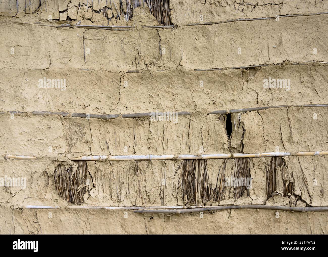 Mud, bamboo and straw wall texture Stock Photo - Alamy