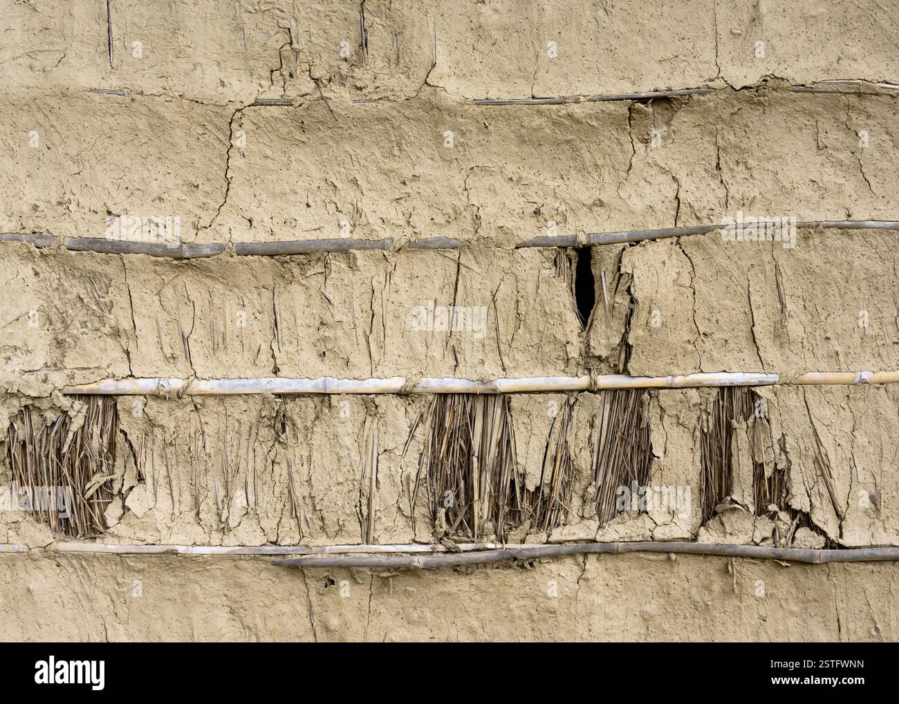 Bamboo and straw wall texture in nepal hi-res stock photography and ...