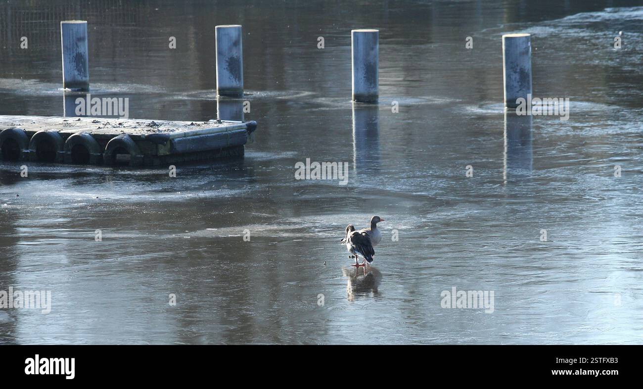 Zwei Enten sitzen bei Temperaturen unter null Grad auf der teilweise ...