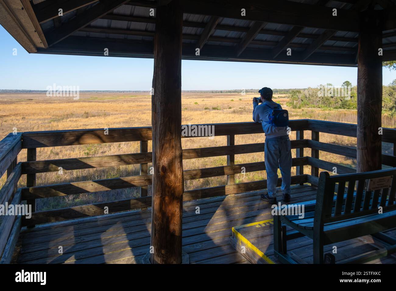 Photographer shooting Paynes Prairie, home of wild bison and horses ...