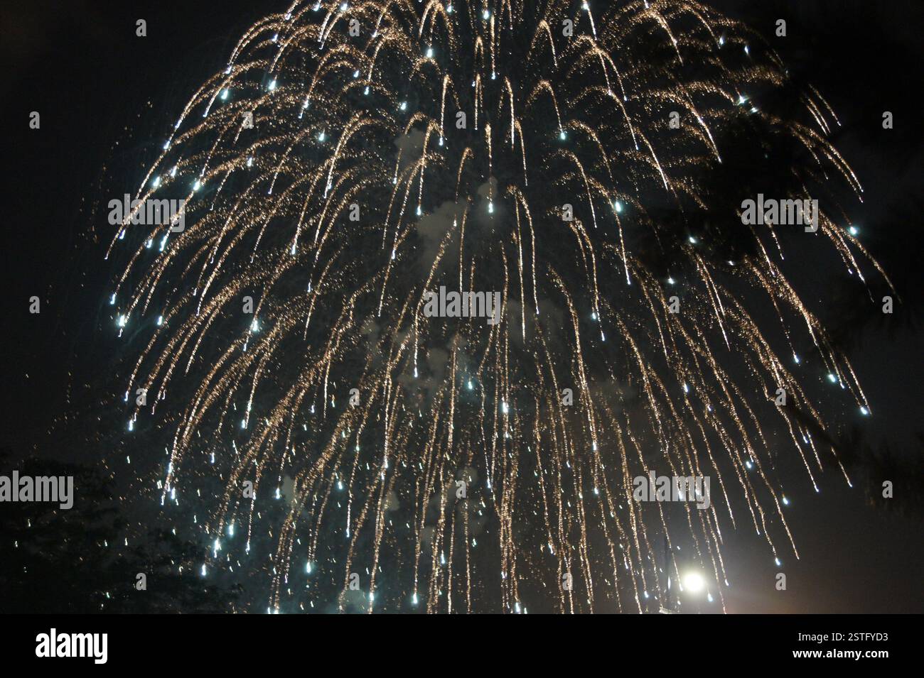 Boston fireworks light up the night sky, a vibrant explosion of colors ...