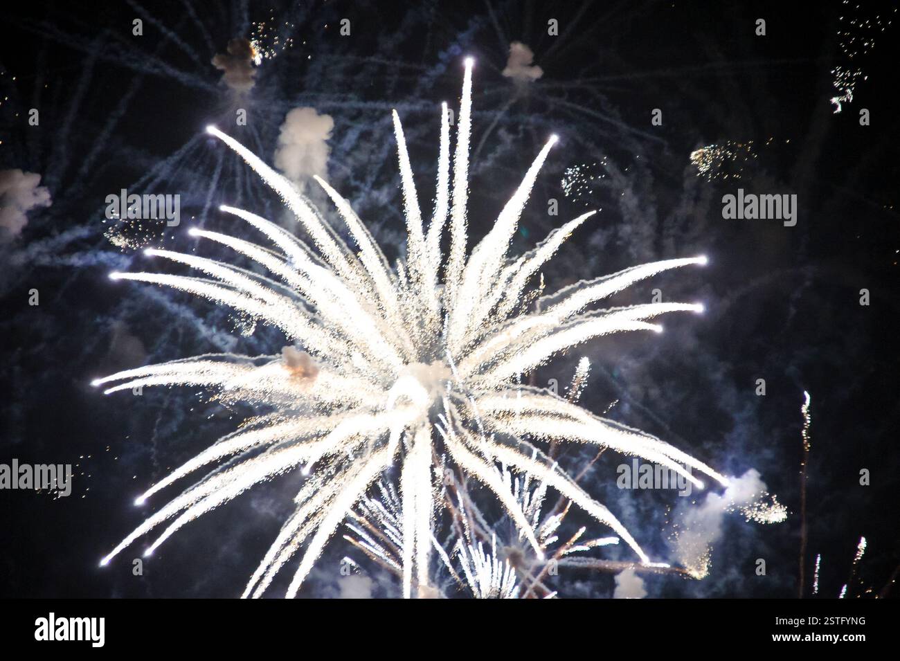 Fireworks burst in the night sky over Boston, illuminating the darkness ...