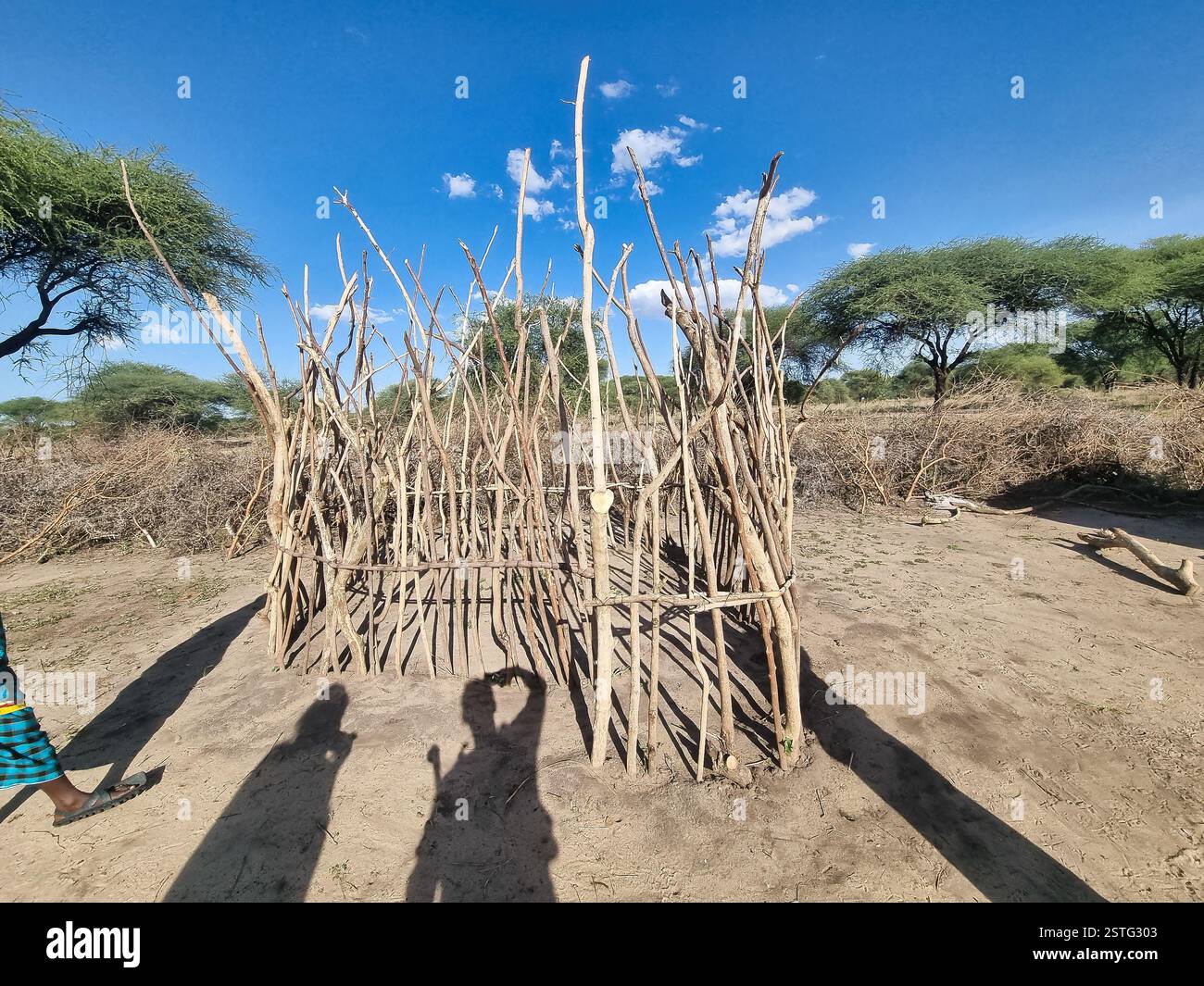 The Traditional Structure is skillfully Constructed with Sticks in a ...