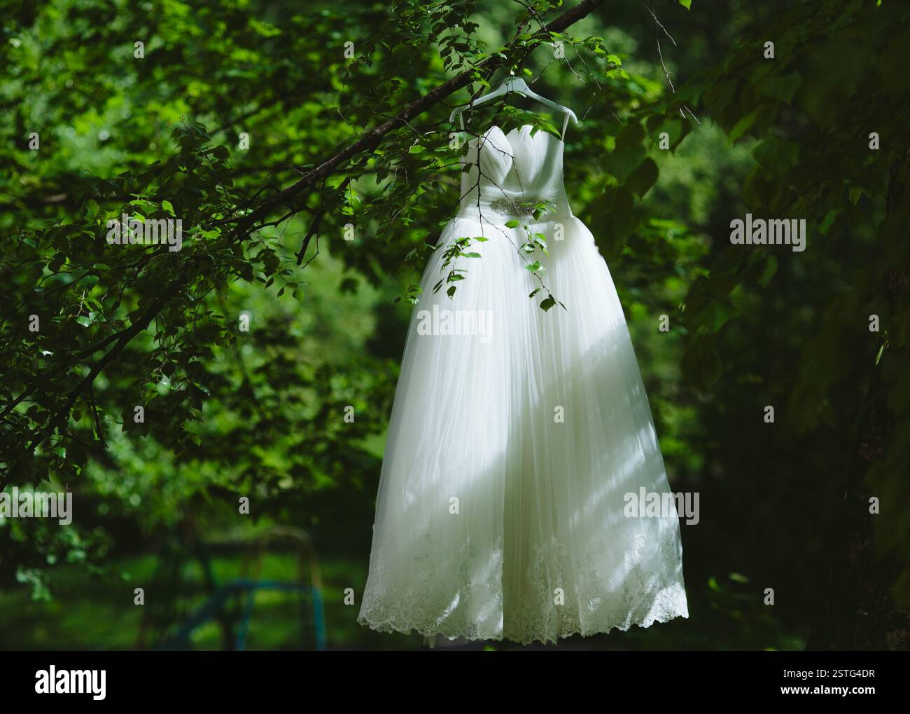 Wedding dress hanging on a tree Stock Photo - Alamy